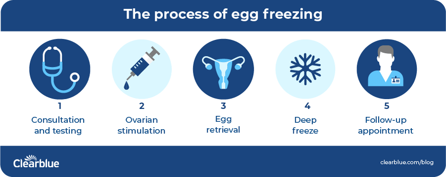 Should I Freeze My Eggs? Egg Freezing Explained | Clearblue